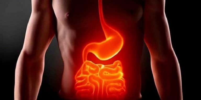 Gangguan Pencernaan • Deherba.com