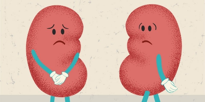 Penyakit Gagal Ginjal: 3 Hal Utama yang Perlu Anda Ketahui • Deherba.com Penyakit Gagal Ginjal: 3 Hal Utama yang Perlu Anda Ketahui • Deherba.com
