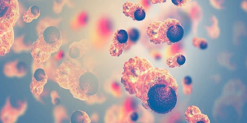 Kanker A-Z: Informasi Terlengkap Penyakit Kanker • Deherba.com