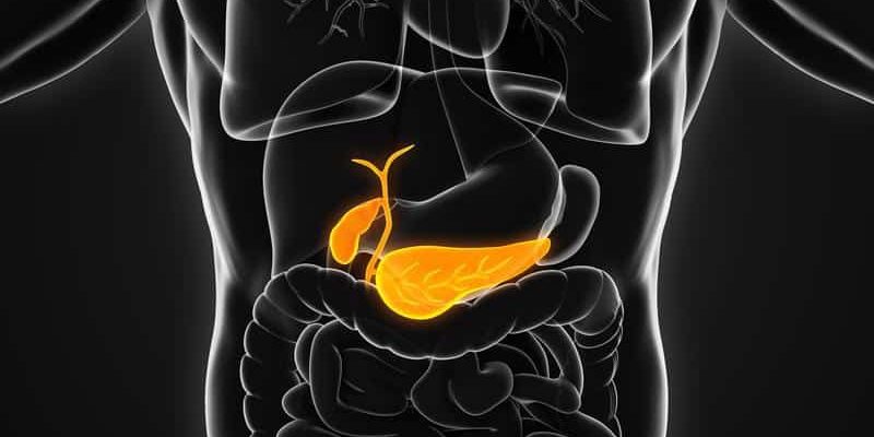 Kanker Pankreas Info Lengkap Bagi Anda Yang Peduli Kesehatan