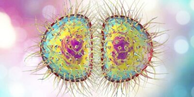 Penyakit Gonore: Gejala, Penyebab, dan Pengobatannya