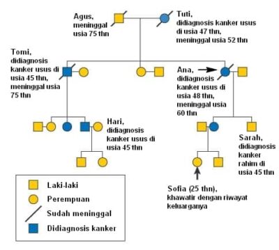 Kanker Keturunan: Apakah Kanker Dapat Diturunkan ke Anak?