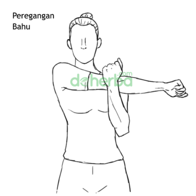 Manfaat Peregangan Otot & 10 Gerakan Peregangan Terbaik • Deherba.com