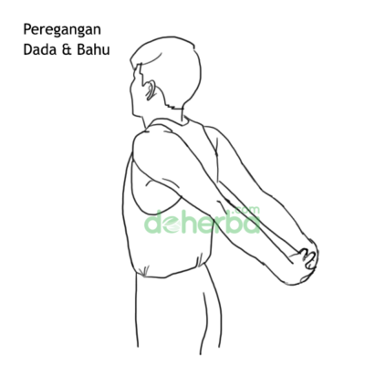 Manfaat Peregangan Otot & 10 Gerakan Peregangan Terbaik • Deherba.com