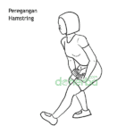 Manfaat Peregangan Otot & 10 Gerakan Peregangan Terbaik • Deherba.com