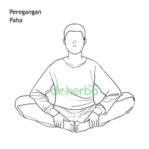 Manfaat Peregangan Otot & 10 Gerakan Peregangan Terbaik • Deherba.com