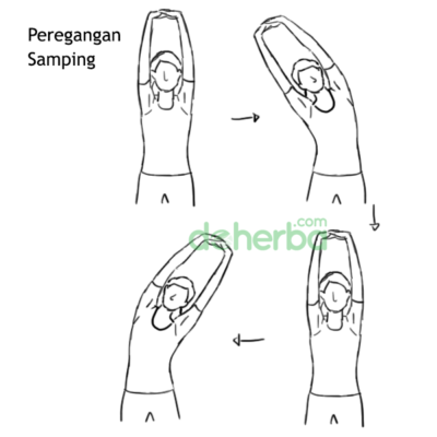 Manfaat Peregangan Otot & 10 Gerakan Peregangan Terbaik • Deherba.com