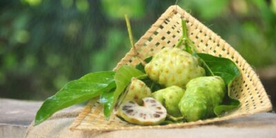 Sulit Fokus? Ini Dia Solusi Obat Peningkat Konsentrasi di Apotik ...