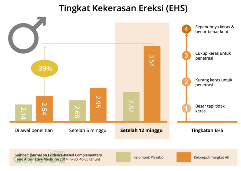 3 Manfaat Utama Tongkat Ali Kapsul untuk Pria Dewasa: Keras, Tahan Lama, Subur • Deherba.com